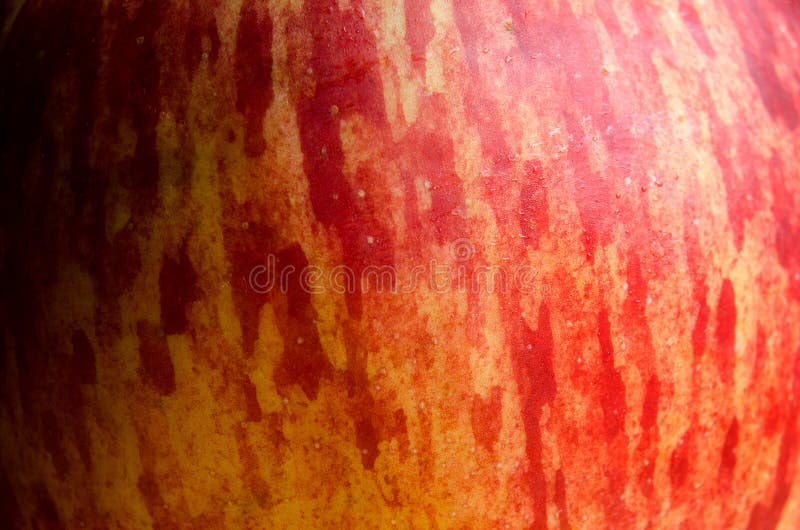 Red apple texture stock photo. Image of dieting, skin - 104686158