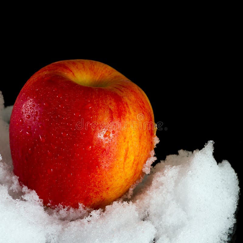 Red Apple in the snow stock photo. Image of apple, abstract - 28504922