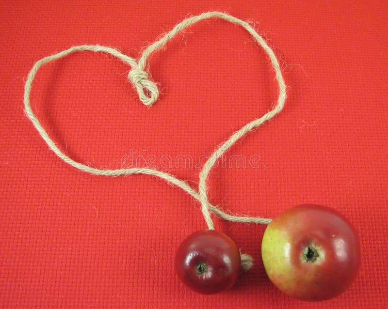 Red Apple and String in Form O Stock Image - Image of form, colour: 3138571