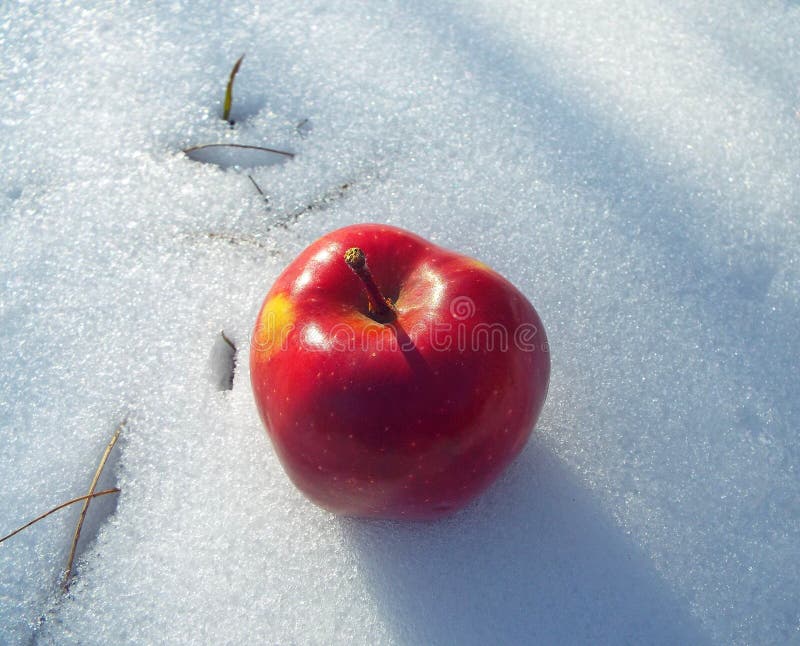 Red Apple stock photo. Image of freshness, apple, still - 87367820