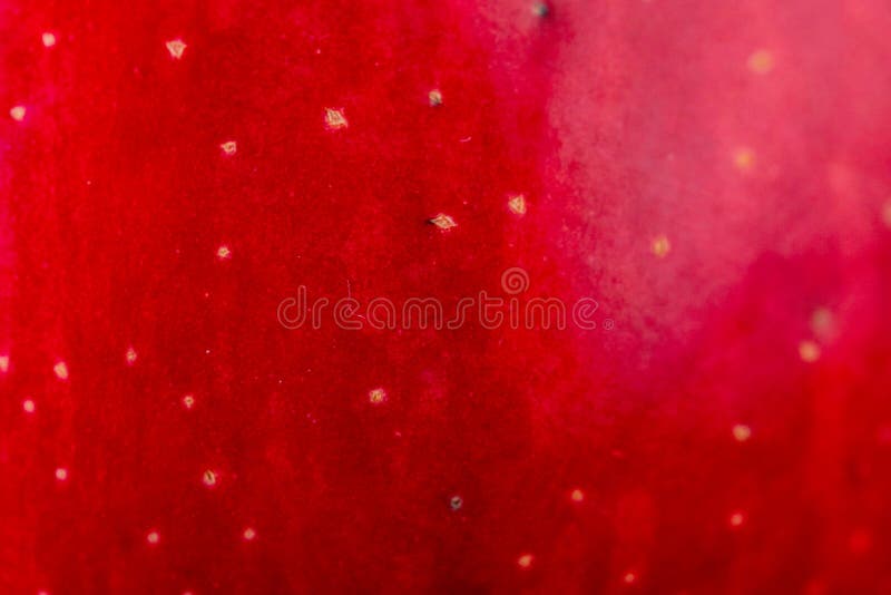 Red apple texture stock photo. Image of freshness, closeup - 168253832
