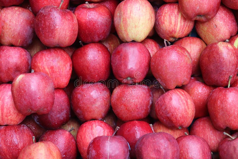 Red Apple Texture, Lots of Red Apples Stock Photo - Image of isolated ...