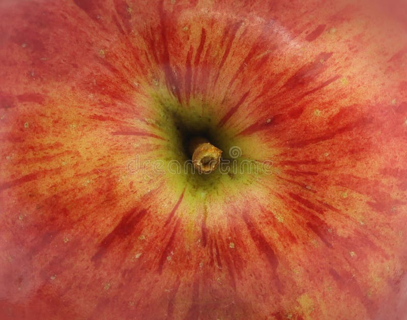 Red apple, top view stock image. Image of autumn, fruit - 207602679