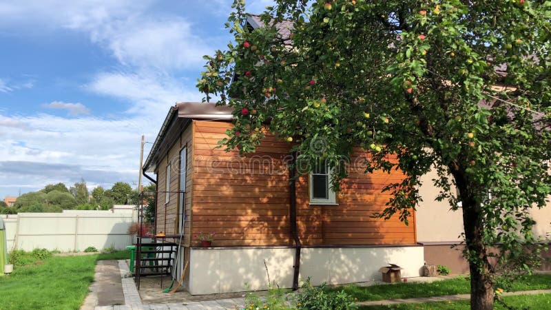 Modern Wooden House Near Trees at Sunset Stock Footage - Video of rural ...