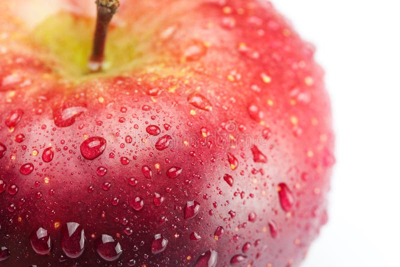 Red apple with water drops stock photo. Image of abstract - 18585468
