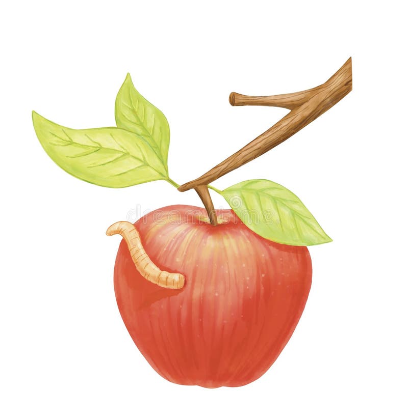 Red Apple with Worm. Fruit on Tree Branch Stock Illustration ...