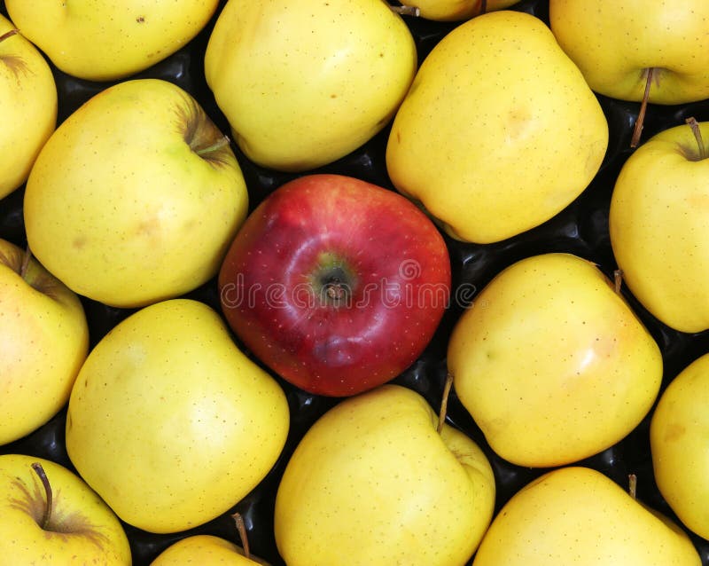 Red Apple with Yellow Apples Stock Photo - Image of single, agriculture ...