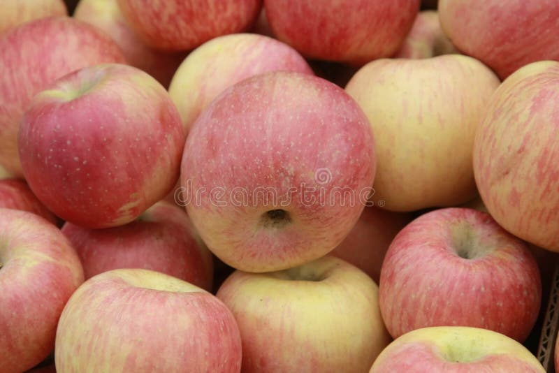 Red apples stock photo. Image of flavor, multiple, nature - 12964890