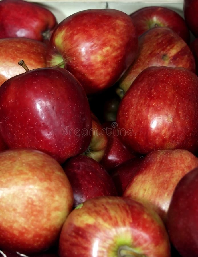 Red apples stock image. Image of autumn, bright, drops - 1486119
