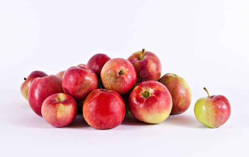 Red apples stock photo. Image of group, crop, apples - 15639348