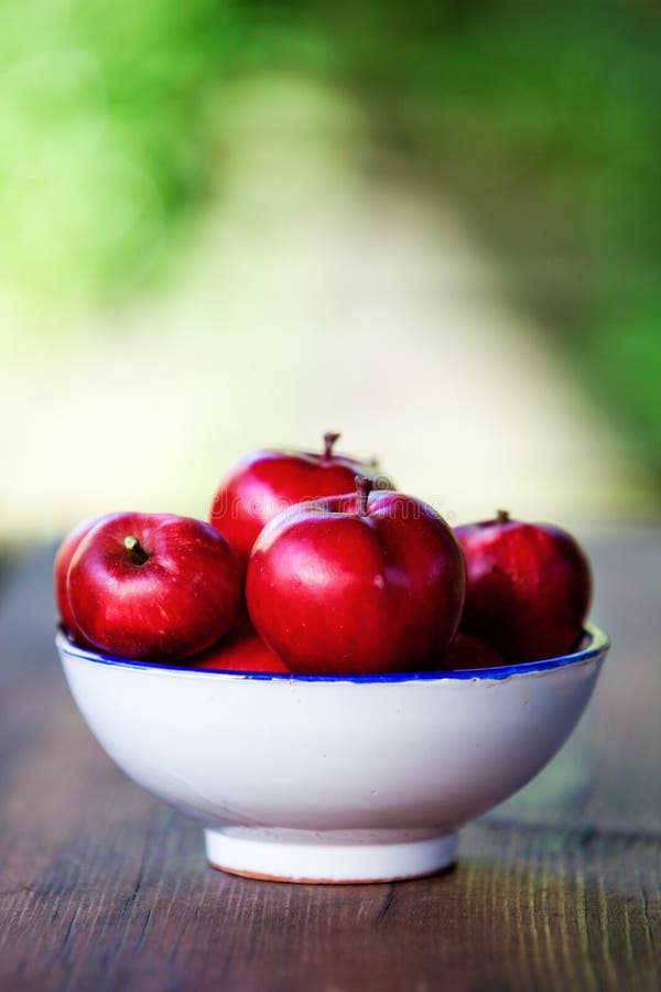 Red apples stock image. Image of lunch, color, ripe, dessert - 26707509