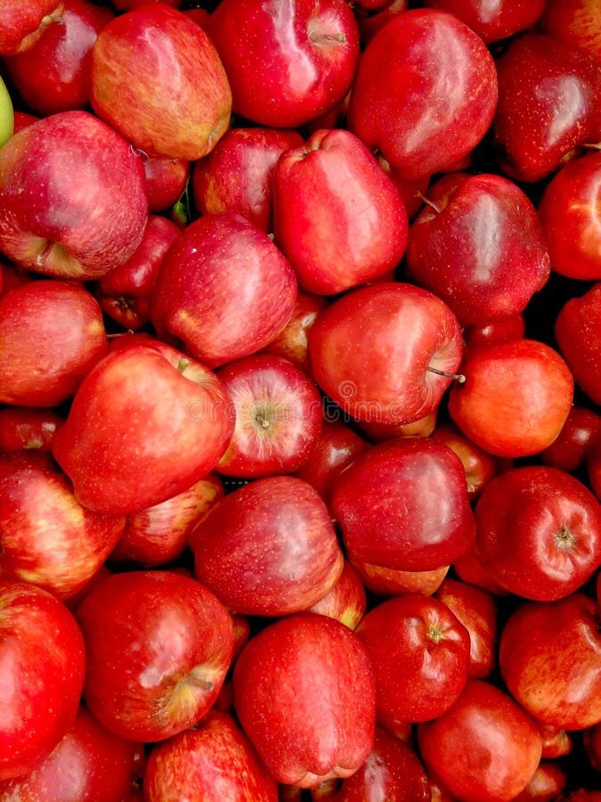 Red apples stock image. Image of macro, harvesting, apple - 27947489