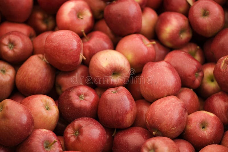 Red apples stock photo. Image of round, apples, pattern - 308384