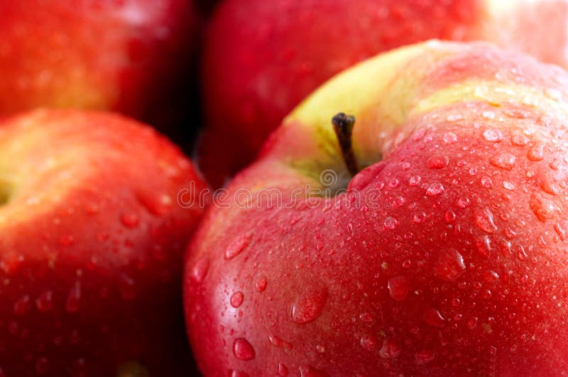 Red apples stock image. Image of pure, environment, healthcare - 5833569