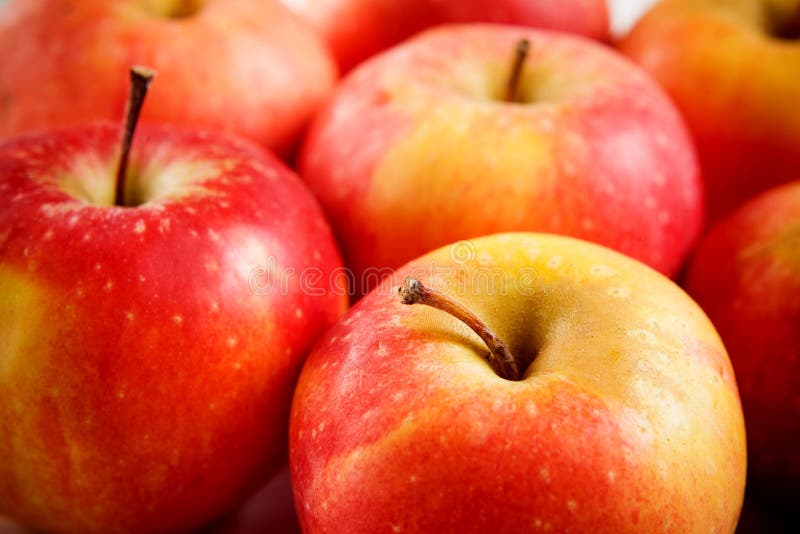 Red apples stock photo. Image of color, juice, eating - 7122056