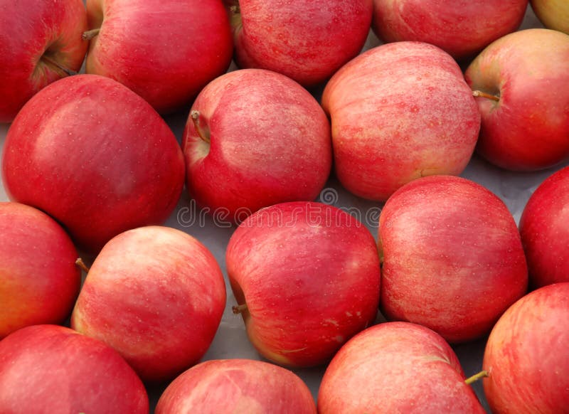 Red apples background stock photo. Image of fresh, juicy - 7515352