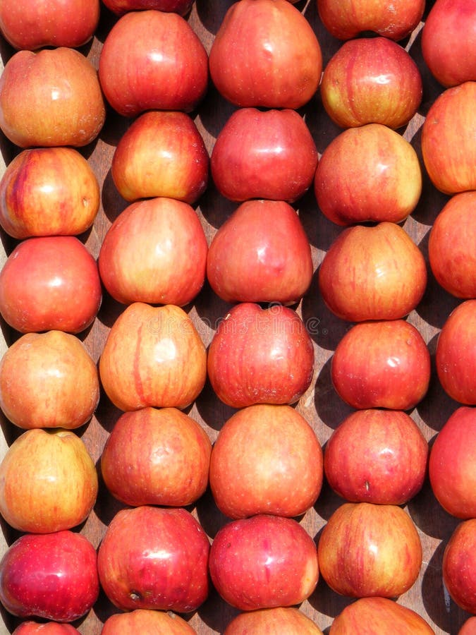 Red apples background stock image. Image of farm, apples - 135794911