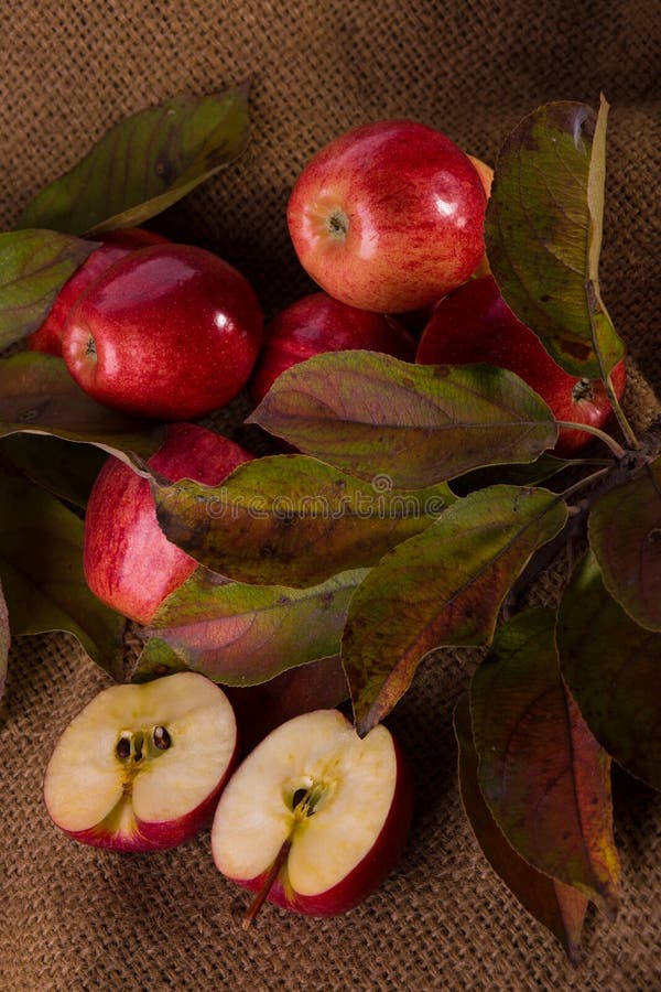 Red apples on bagging stock image. Image of basket, apple - 79934167