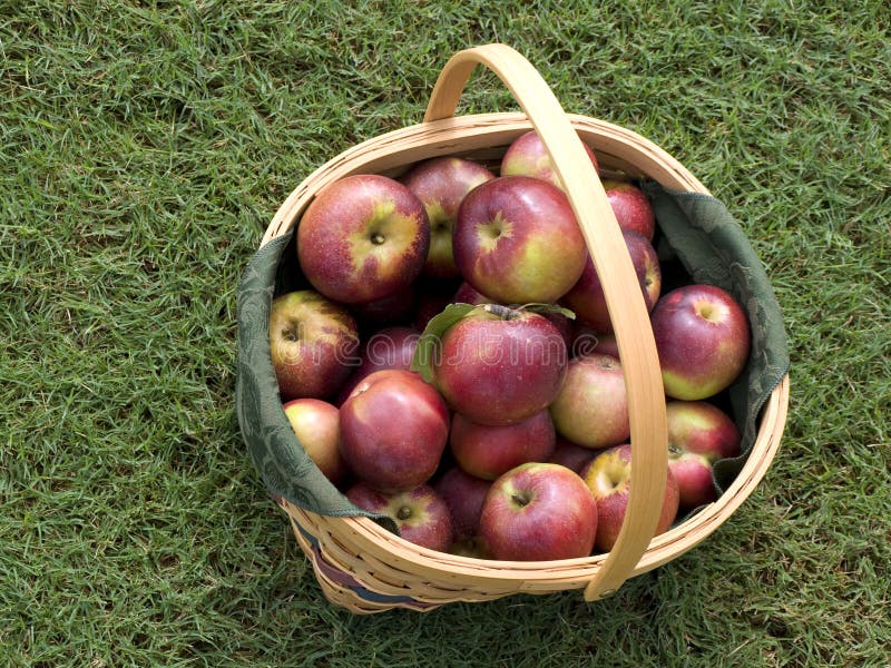 Red Apples in a Basket stock image. Image of diet, healthy - 11105719