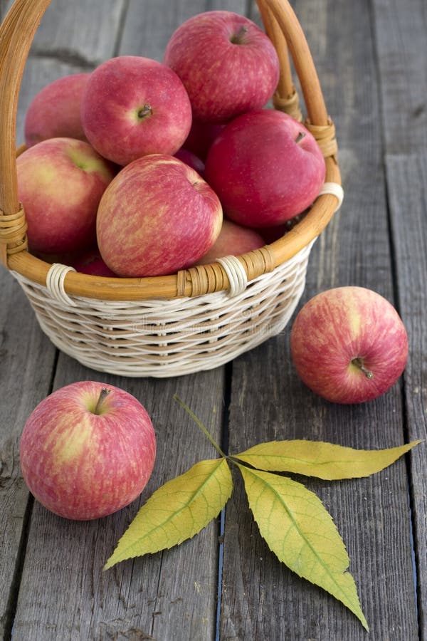 Red apples in a basket stock photo. Image of eating, gala - 26722798