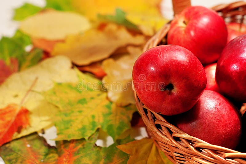 Red apples in a basket stock image. Image of apple, bright - 34230765