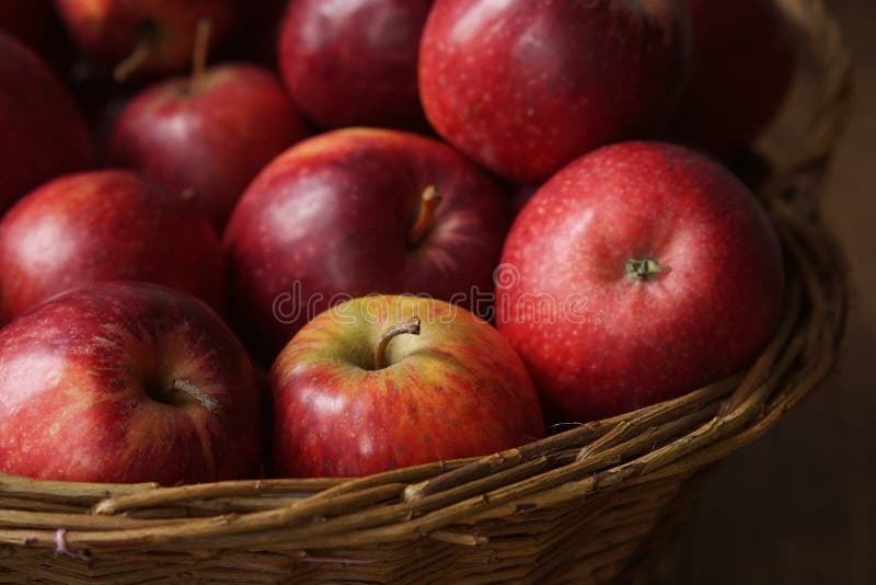 Red apples in basket stock photo. Image of christmasy - 161399028