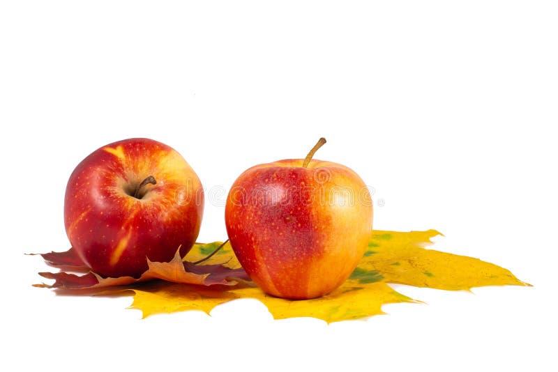Red Apples and a Basket with Maple Leaves Stock Image - Image of ...