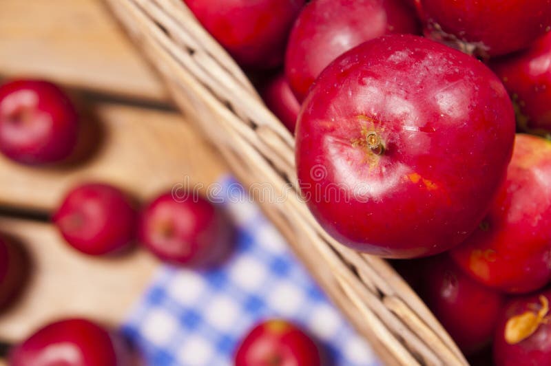 Red Apples in a Basket on Table Stock Photo - Image of grown, autumn ...