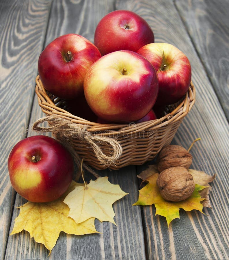 Turkish pita stock photo. Image of flat, meal, dinner - 40065386