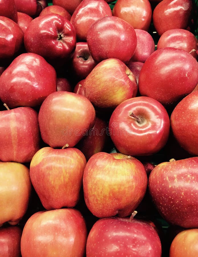 Red apples stock photo. Image of natural, collection - 92742364