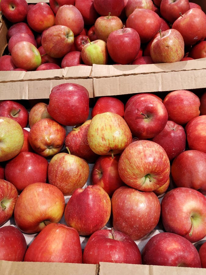 Red Apples in Boxes at the Grocery Store Stock Photo - Image of fruits ...