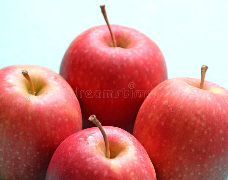 Red Apples Up Close on a Tree Stock Image - Image of juicy, farm: 287761175