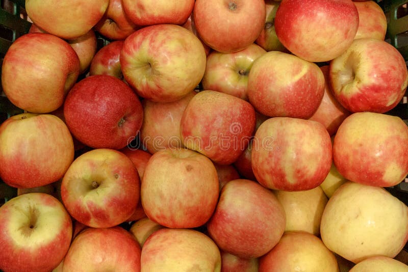 Red Apples on a Counter in the Market Stock Photo - Image of delicious ...