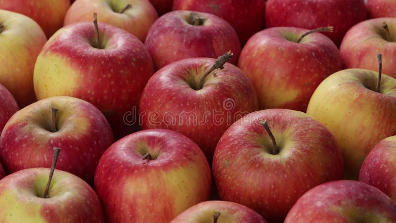 Red Apples Food Background Zoom Stock Video - Video of fresh, healthy ...