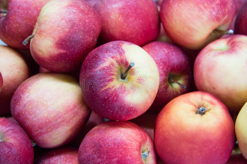 Red Apples Fresh Fruit stock photo. Image of apple, green - 94220020