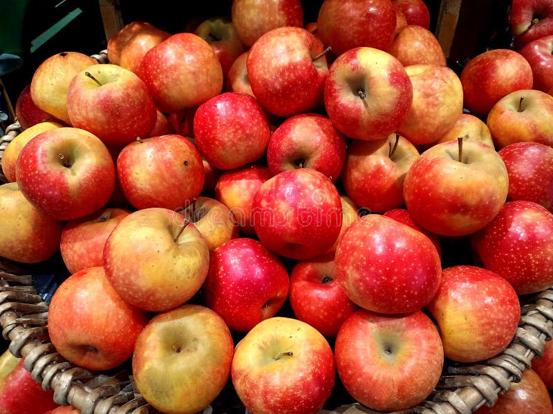 Red apples fresh stock photo. Image of multiple, fresh - 140397428