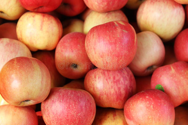 Red Apples. Apples in a Fruit Shop Stock Photo - Image of apple, yummy ...