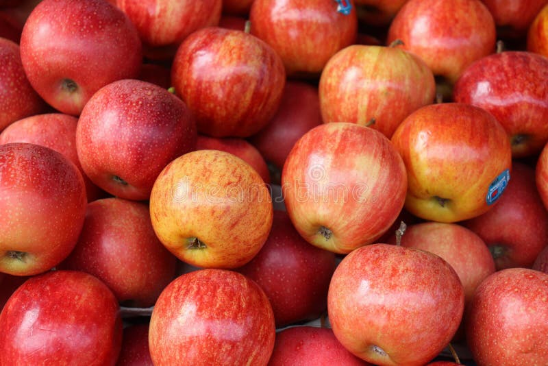 Red Apples. Apples in a Fruit Shop Stock Photo - Image of apple, yummy ...