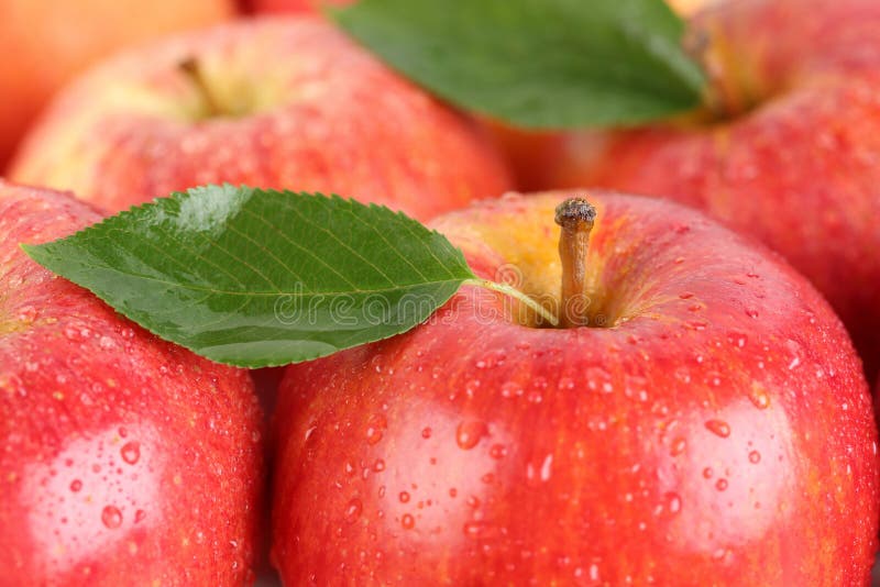 Red Apples Fruits with Leaf Stock Photo - Image of healthy, food: 55653808