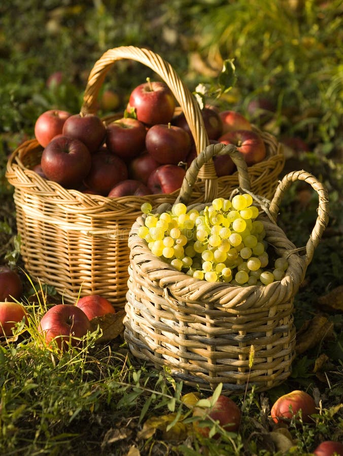 Red apples and grapes stock image. Image of grape, season - 6624467