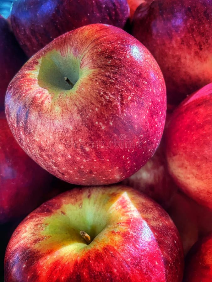 Red Apples in Large Quantities Stock Photo - Image of apples ...