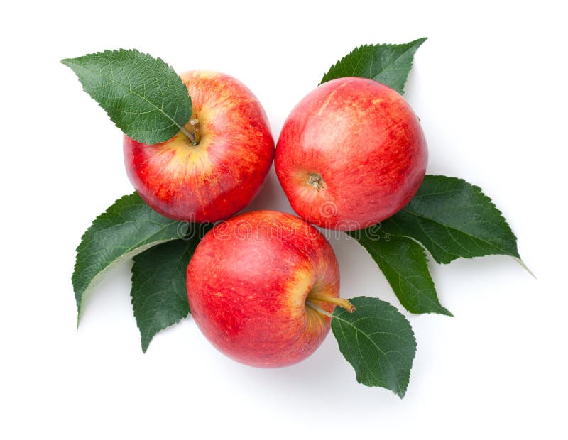 Red Apples with Leaves Isolated Over White Stock Photo - Image of ...