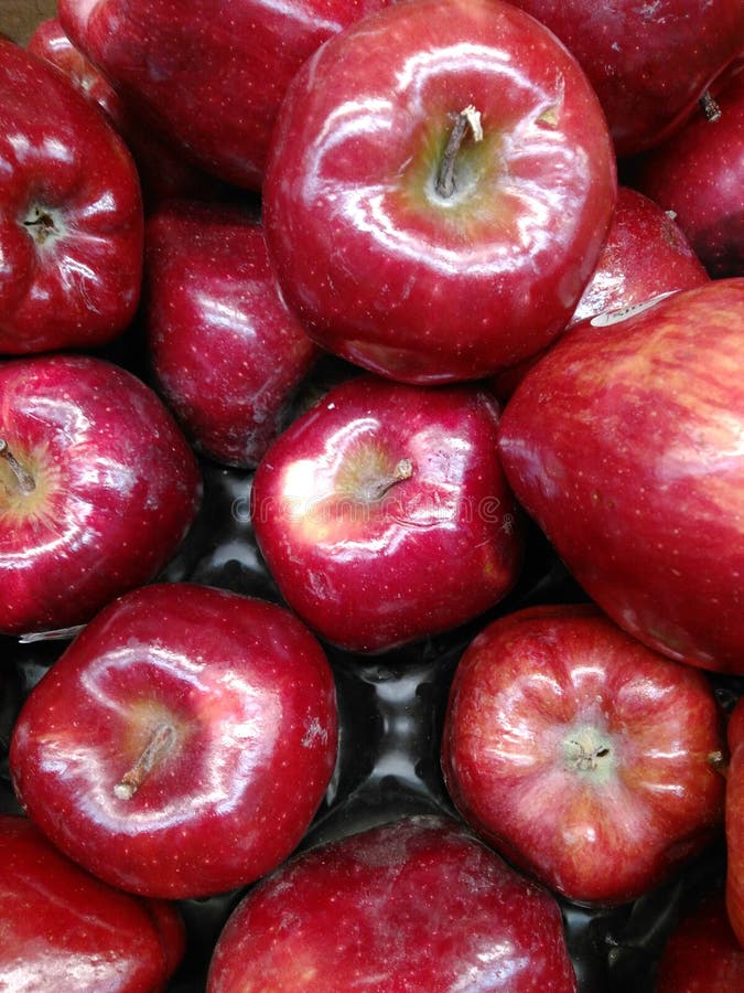 Red apples stock photo. Image of fruit, delicious, health - 96516010