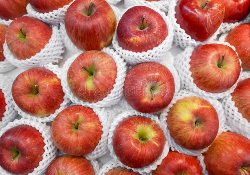 Foam Apples Pears Wire Basket Stock Image - Image of vintage, white ...