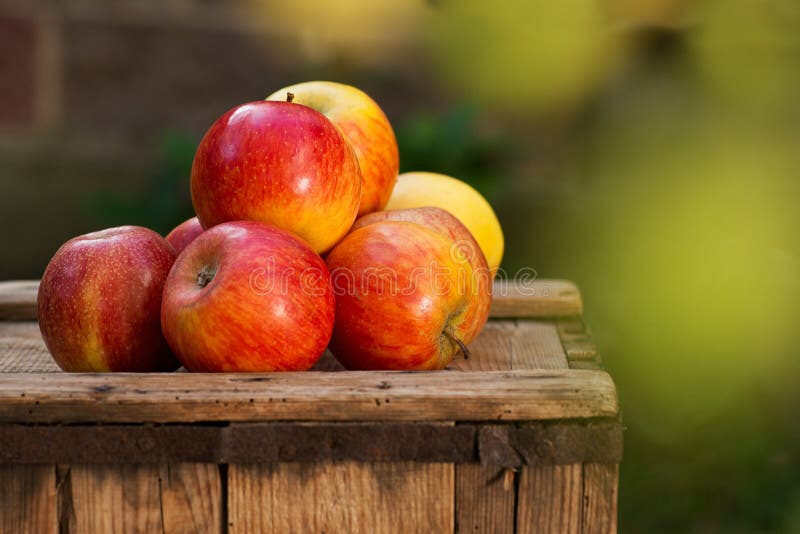 Red Apples stock image. Image of crate, farming, harvest - 102072565
