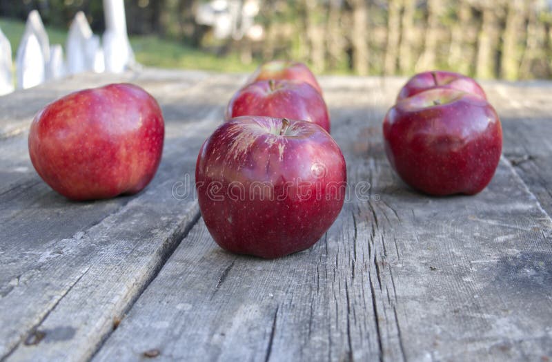 Red Apples on an Old, Worn Garden Table Stock Photo - Image of fresh ...