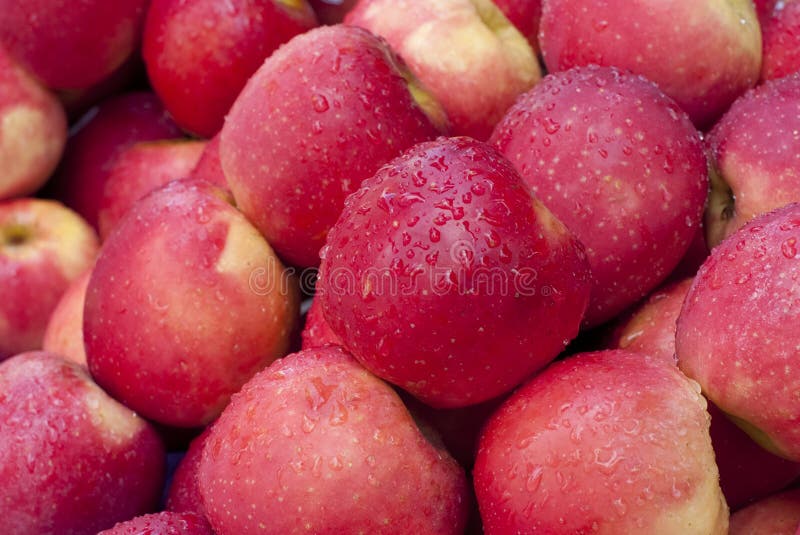 Red apples stock photo. Image of food, details, tropical - 33299602