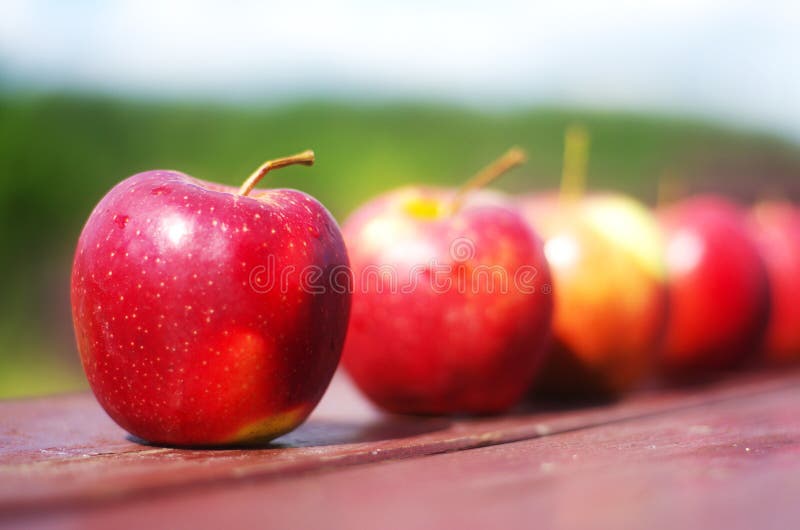 Red apples stock photo. Image of delicious, natural, original - 55988578
