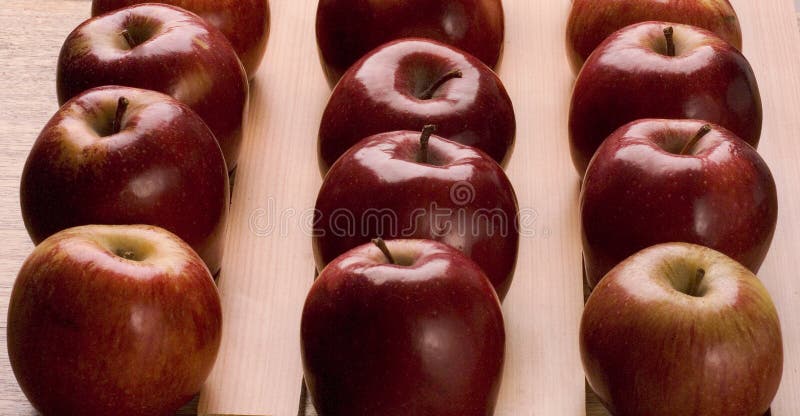 Two apples stock photo. Image of apples, healthy, fruit - 39604