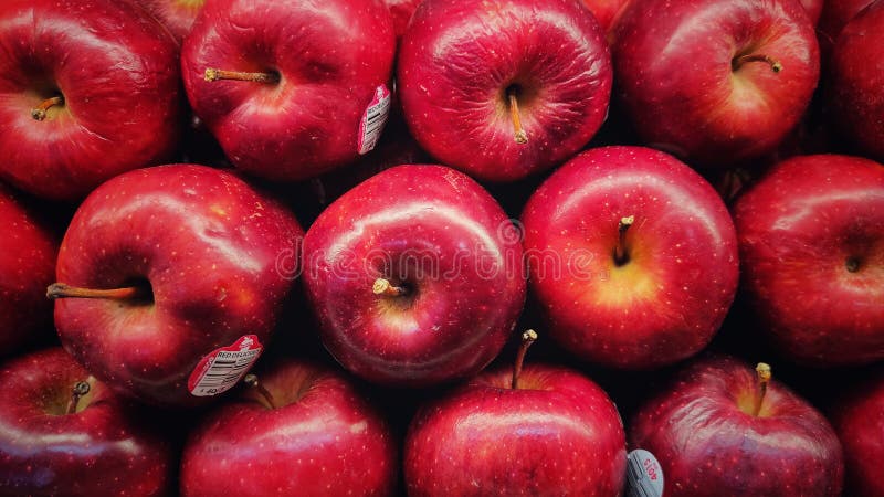 Red apples on a shelf stock photo. Image of plant, produce - 260713820